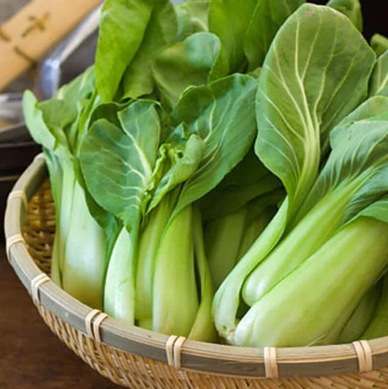 Cải thìa - Cải bẹ trắng - Bok choy 500g - Santorino
