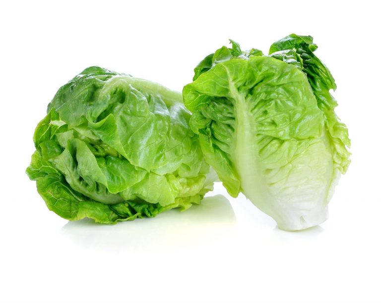 Lettuce là rau gì? Công dụng cho sức khỏe của Lettuce không thể bỏ qua ...
