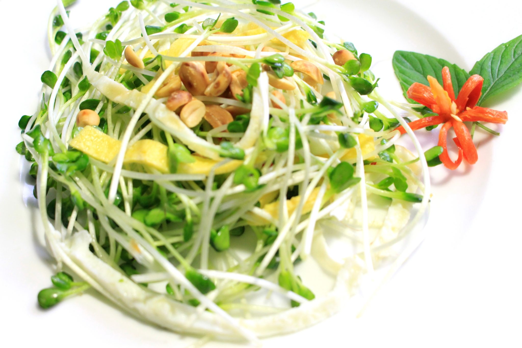 Các món Salad rau xanh ngon nhất bạn nên làm - Santorino