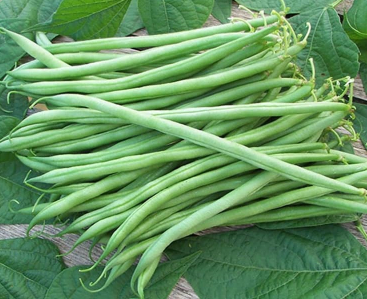Đậu Cove - Green bean 500g - Santorino