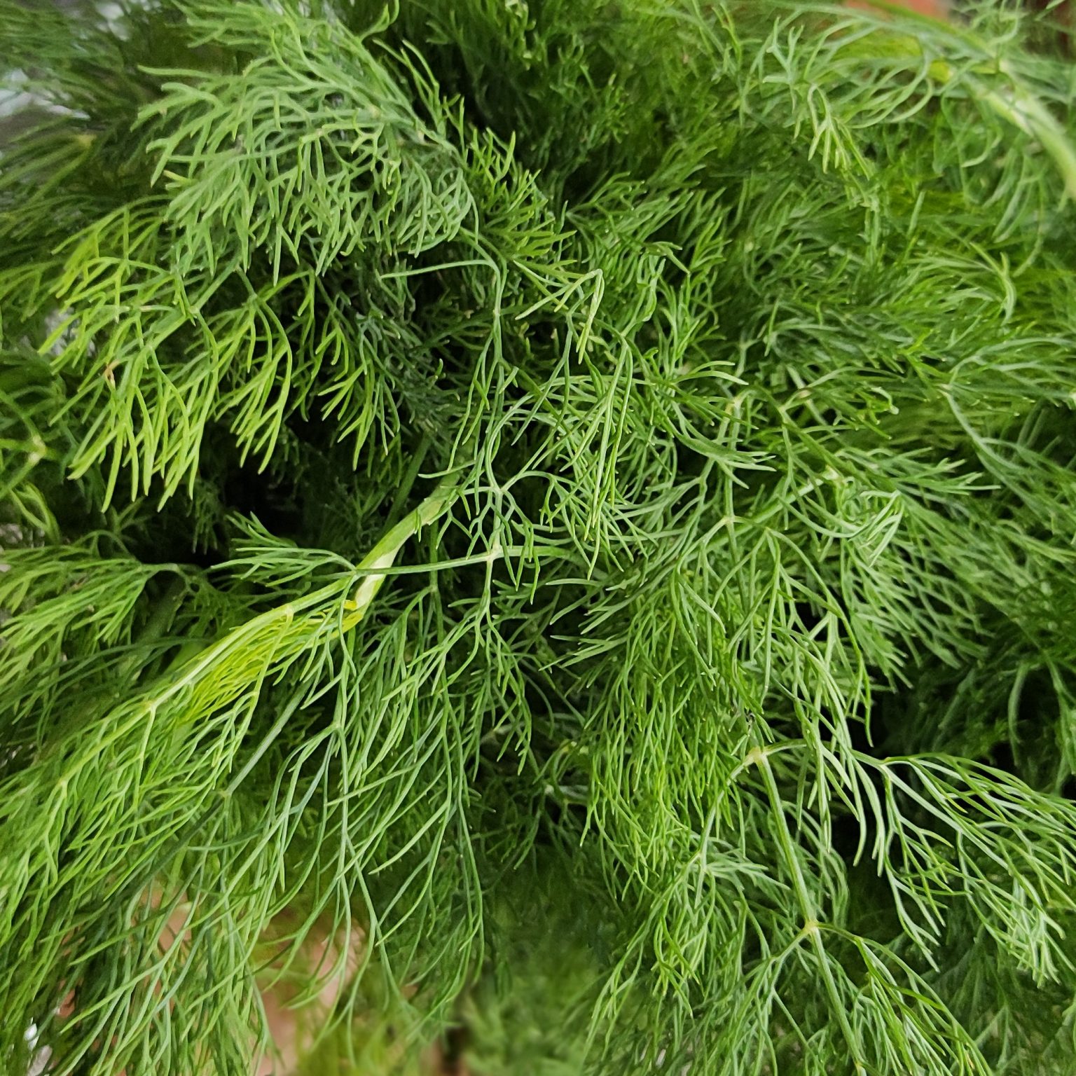 Santorino coffee & veggies -The online store l Santorino.org